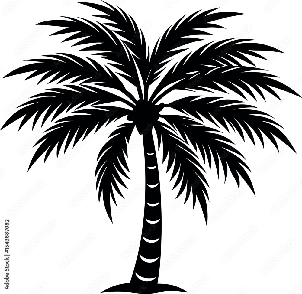 palm tree vector isolated Shallotte on white background Stock Vector ...