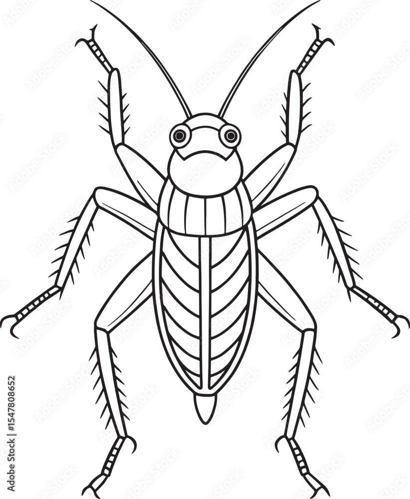 Image vectorielle Stock Weta insect anatomy line drawing for nature ...