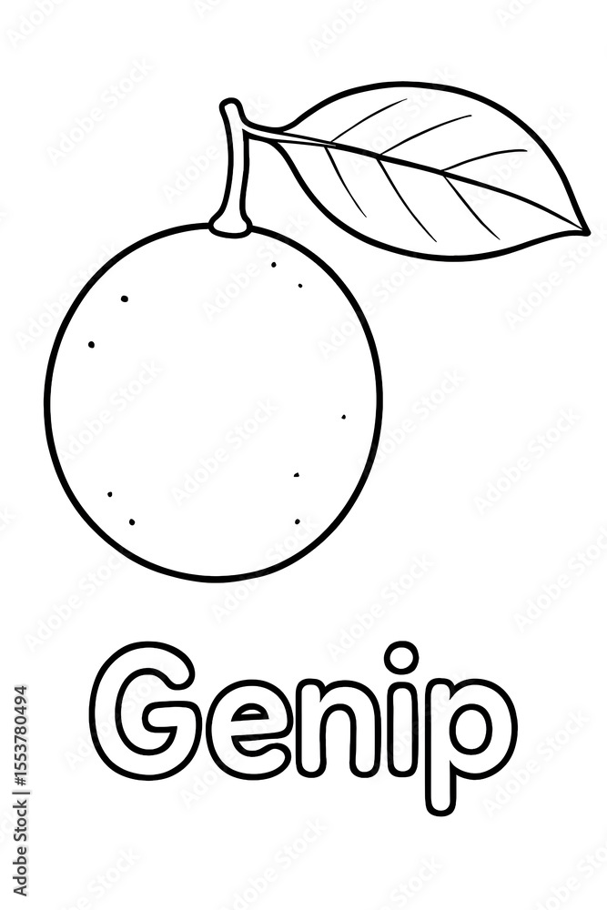Genip Fruit Coloring Page Printable Outline for Kids and Adults Stock ...