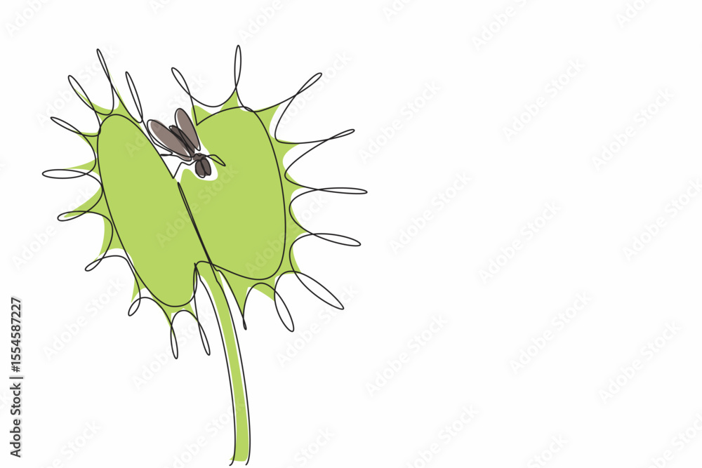 Image vectorielle Stock Continuous one line drawing flies are in venus ...