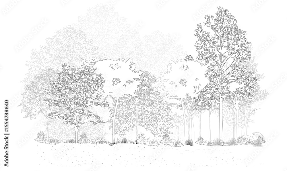 Architectural Drawings, Minimal style cad tree line drawing, Side view ...