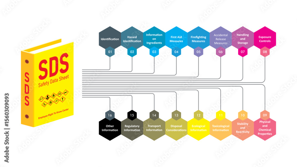 Chart of a 16 sections of the safety data sheet document. SDS in vector ...