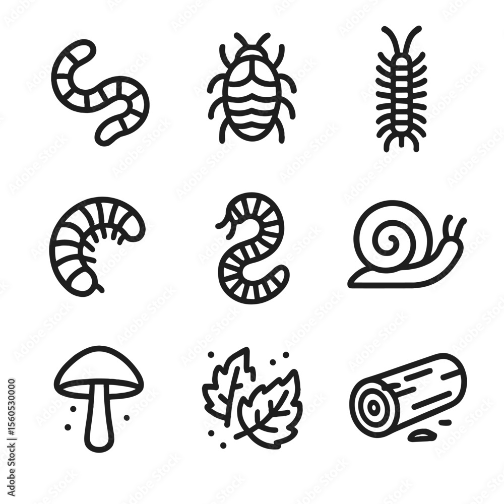 Image vectorielle Stock Forest Floor Decomposers. Outline icon set of ...
