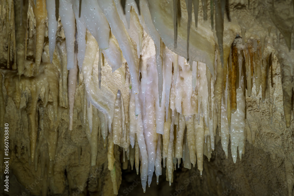 Stalactite and stalagmite limestone formation in the Ruakuri glowworm ...