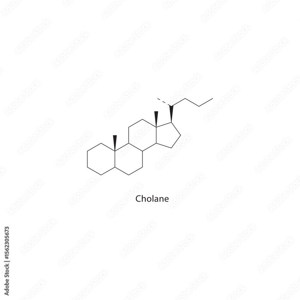 Praca wektorowa bez tantiem: Cholane skeletal structure. Steroid ...