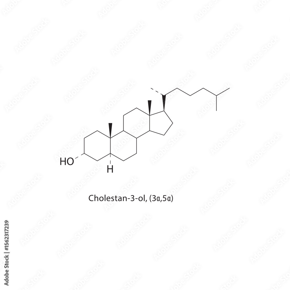 Stock-Vektorgrafik „Cholestan-3-ol, (3α,5α) skeletal structure. Sterol ...