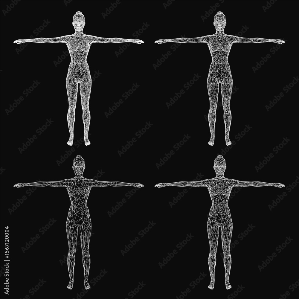 A 3D wireframe model of a female human body displayed from four ...