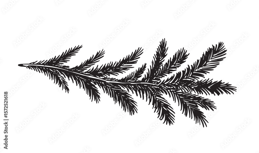 Christmas tree branch hand drawn Stock Vector | Adobe Stock