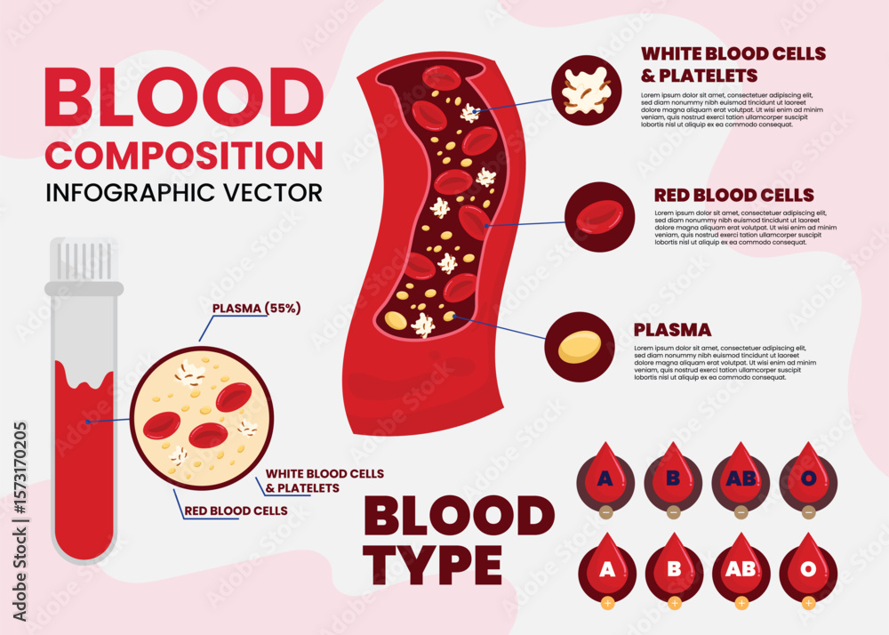 Red blood cells infographic. hemoglobin, human body anatomy. Medicine ...