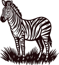 Zebra Vintage Illustration Free Stock Photo - Public Domain Pictures