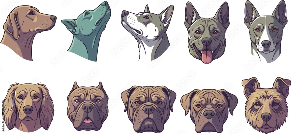 Collection of ten different dog breeds illustrated with various head ...