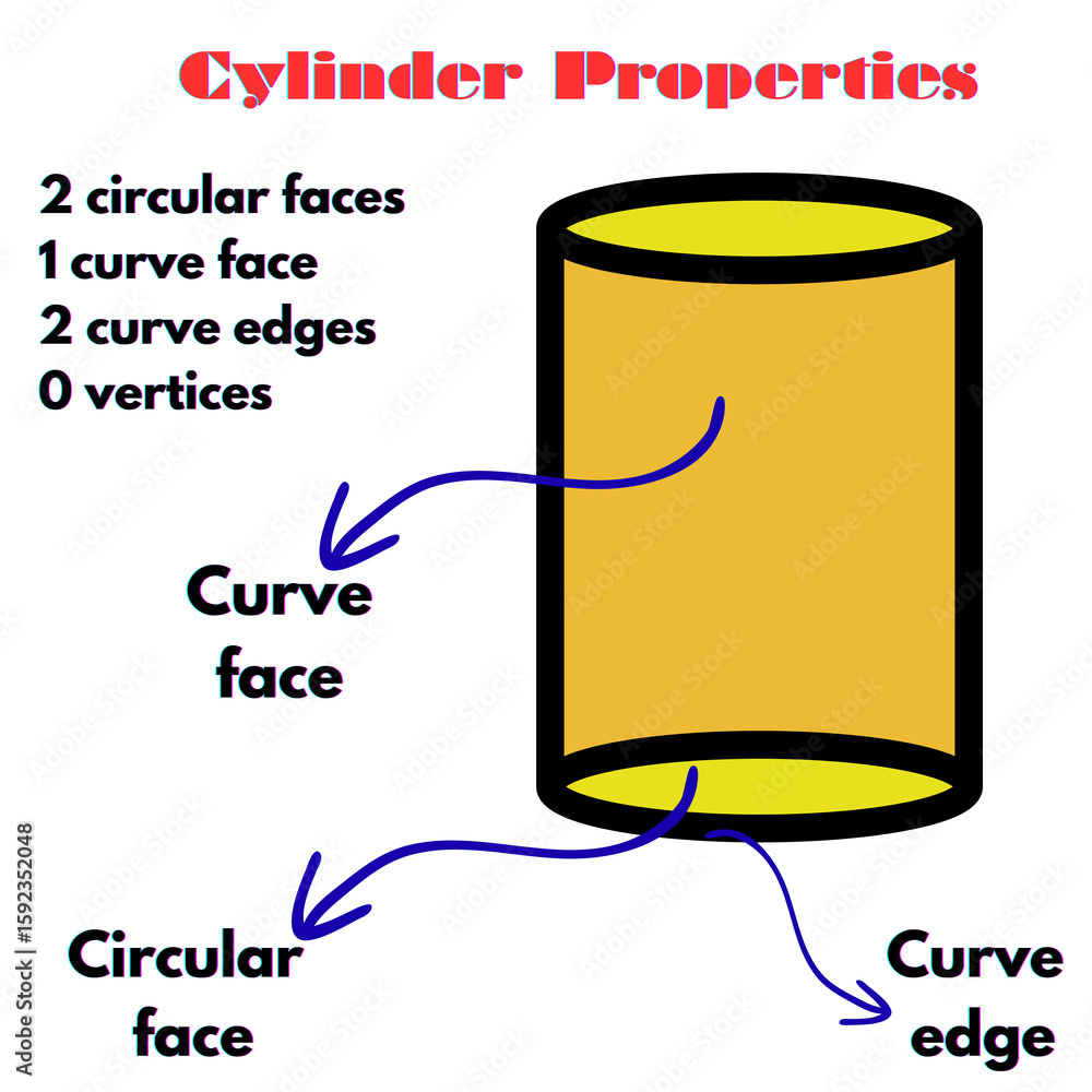 Understanding Cylinder Properties Circular Faces, Curves, and Edges ...
