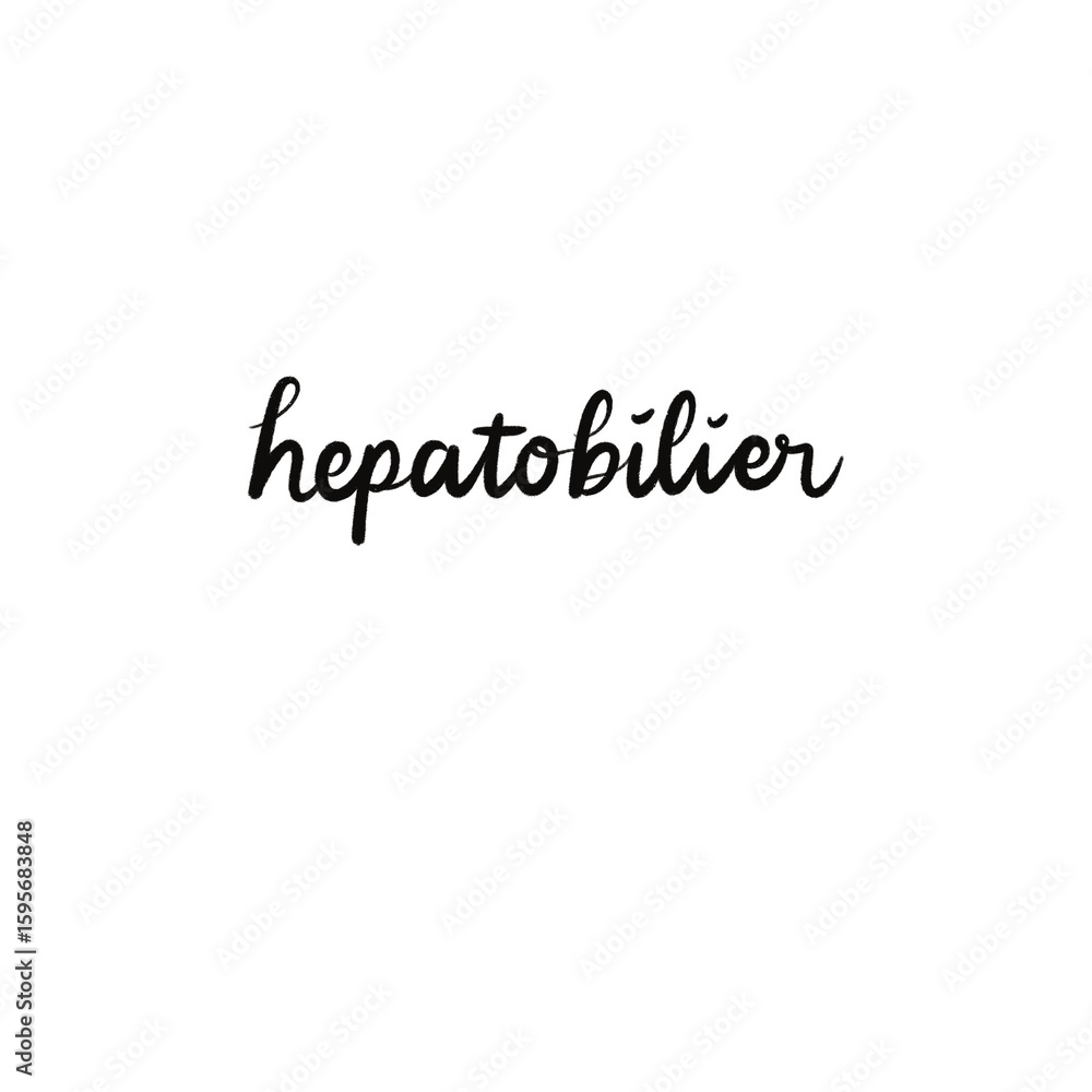 Hepatobiliary System Lettering – Handwritten Typography of Liver ...