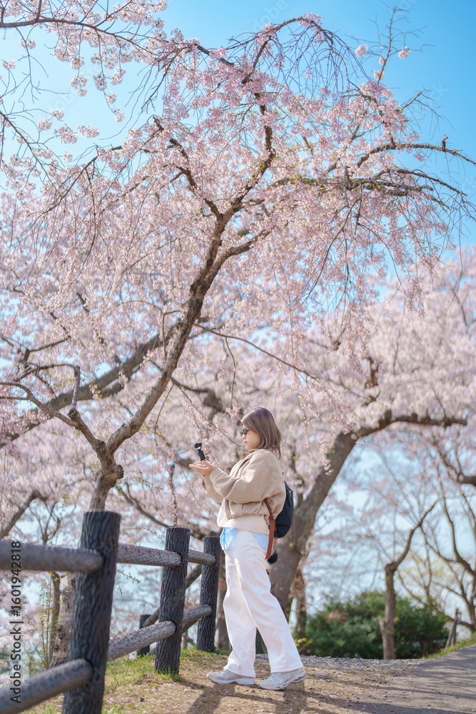 Woman tourist sightseeing Sakura Cherry Blossom in Spring. Happy ...