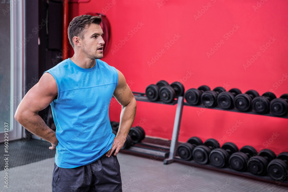 Muscular male posing hands on hips in gym featuring dumbbell rack and ...