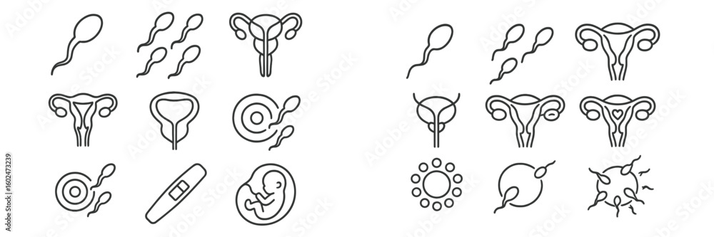 Diagram illustrating the human reproductive system, including sperm ...