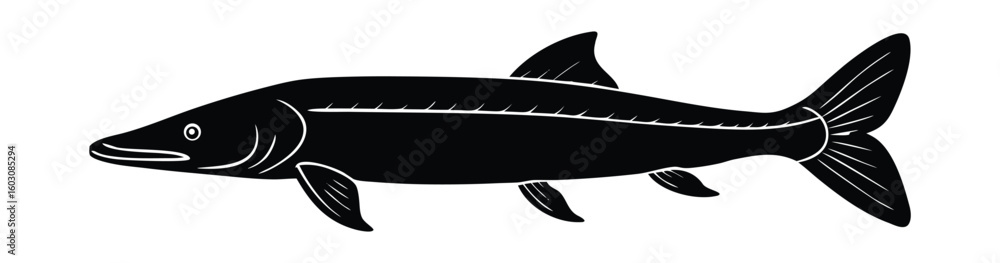 Illustration of a Muskie Fish Detailed Vector Art for Fishing ...