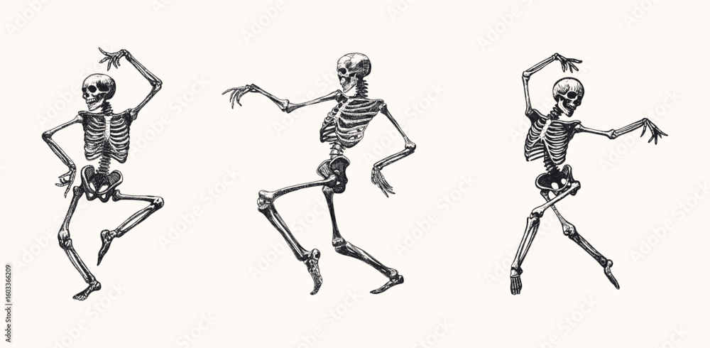dancing skeletons in humorous poses set isolated hand drawn sketch card ...
