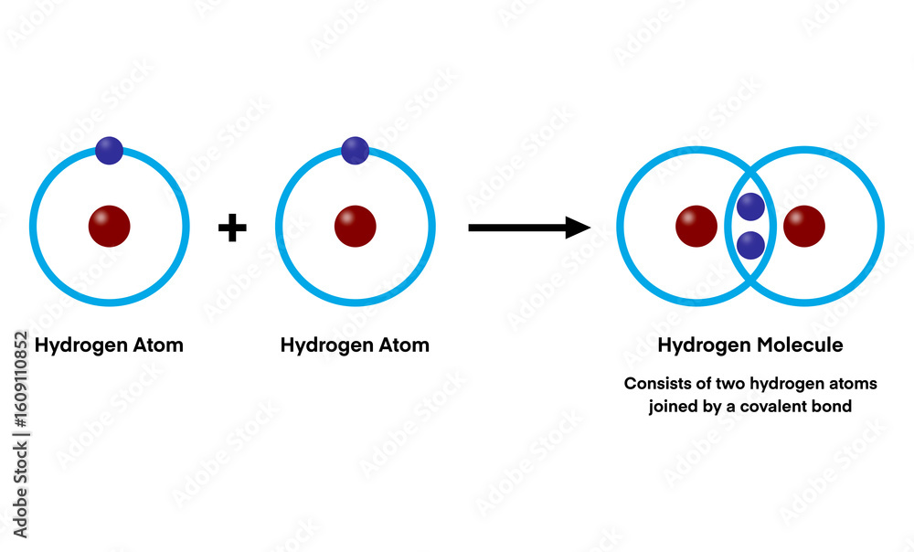 Two hydrogen atoms combine to form a hydrogen molecule through a ...