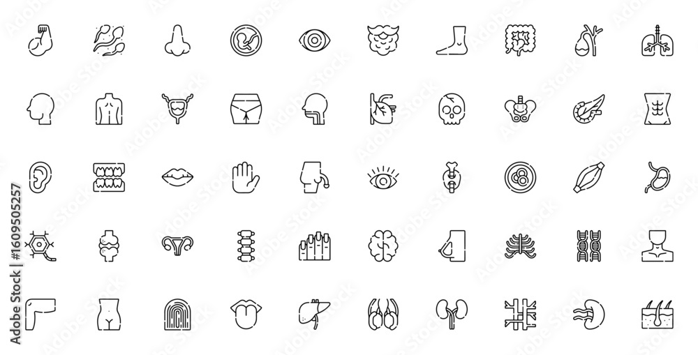 Image vectorielle Stock Human body icon set. Medical anatomy vector ...