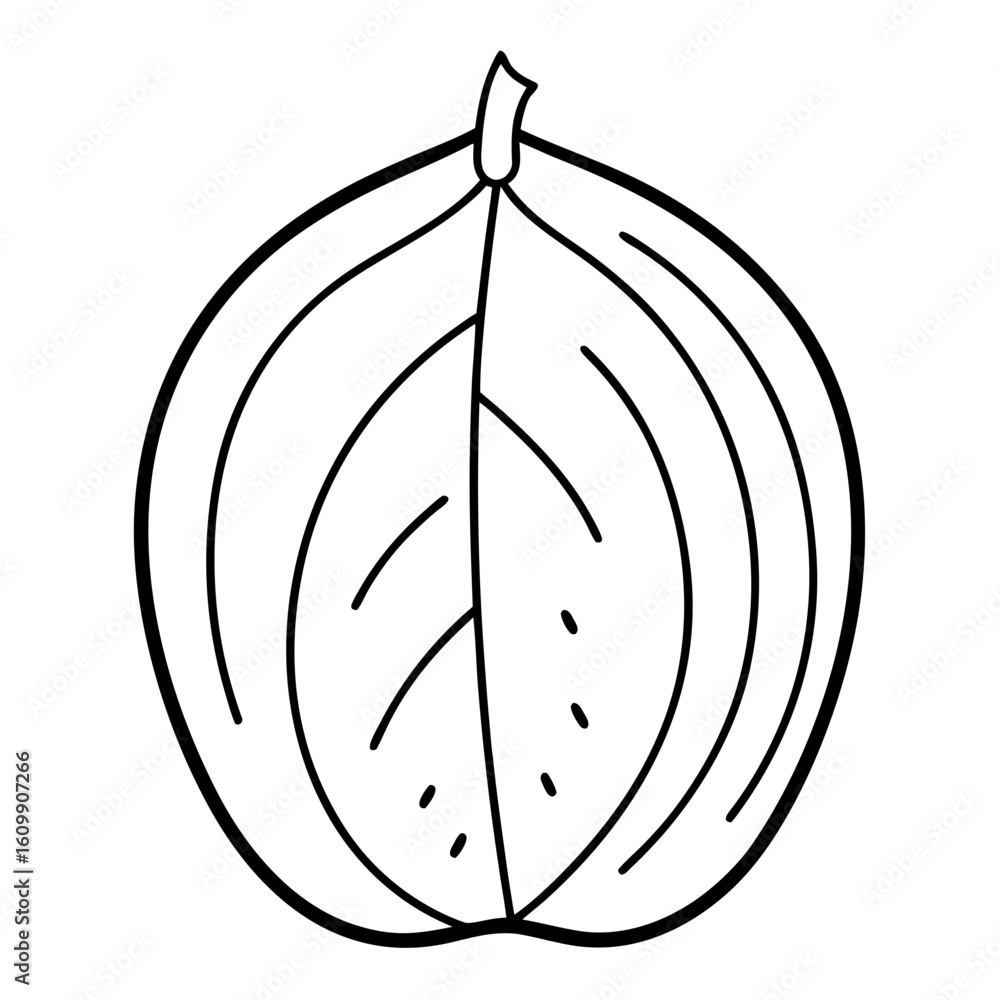 Walnut Coloring Pages – Nut, Outline, Nature, Food, Botanical, Line Art ...