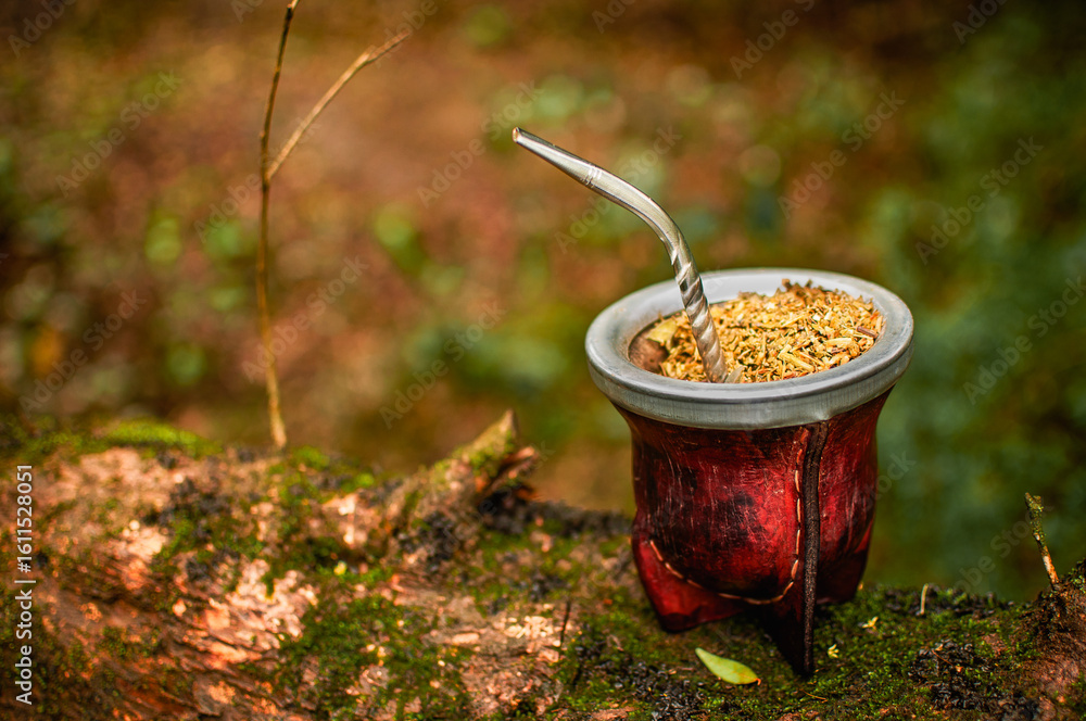ภาพถ่าย Stock mate de porongo con yerba mate sobre un tronco de árbol ...
