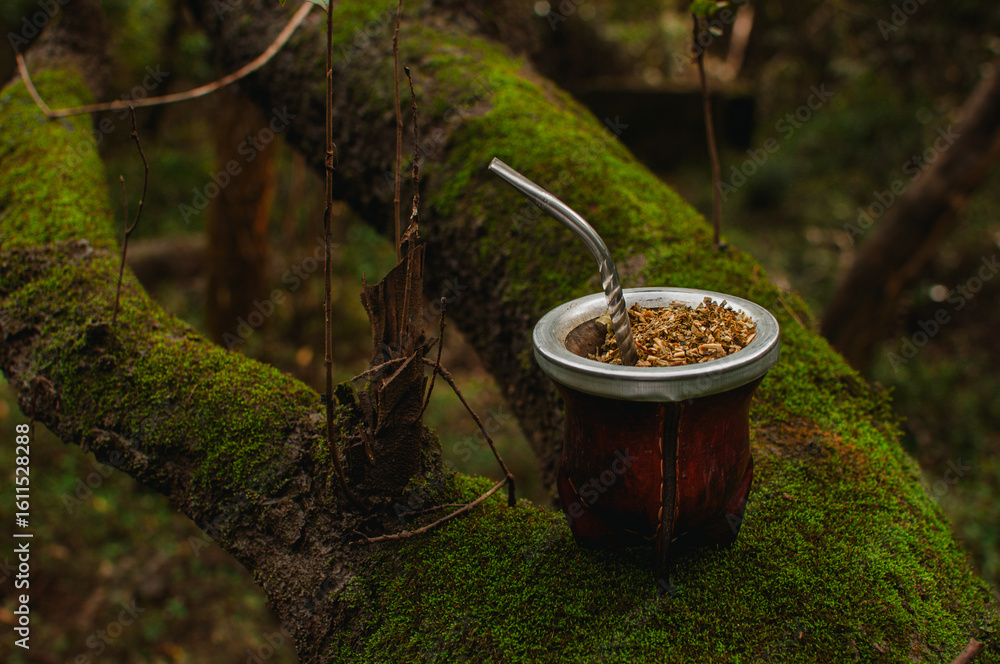 mate de porongo con yerba mate sobre un tronco de árbol verde. bebida ...