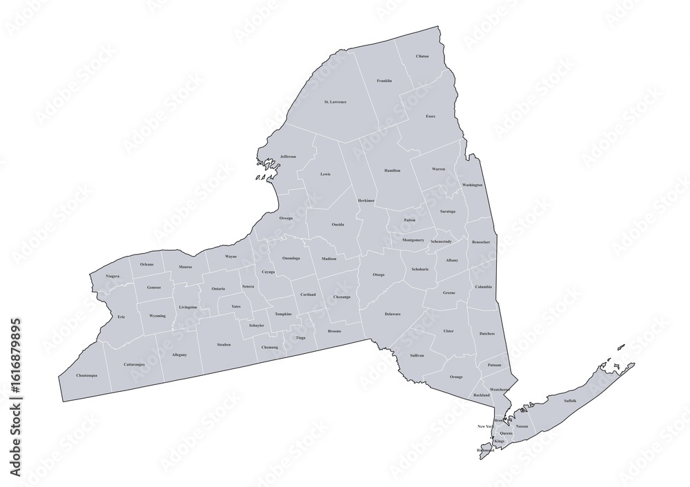 New York, U.S. state, gray political map with borders and county names ...
