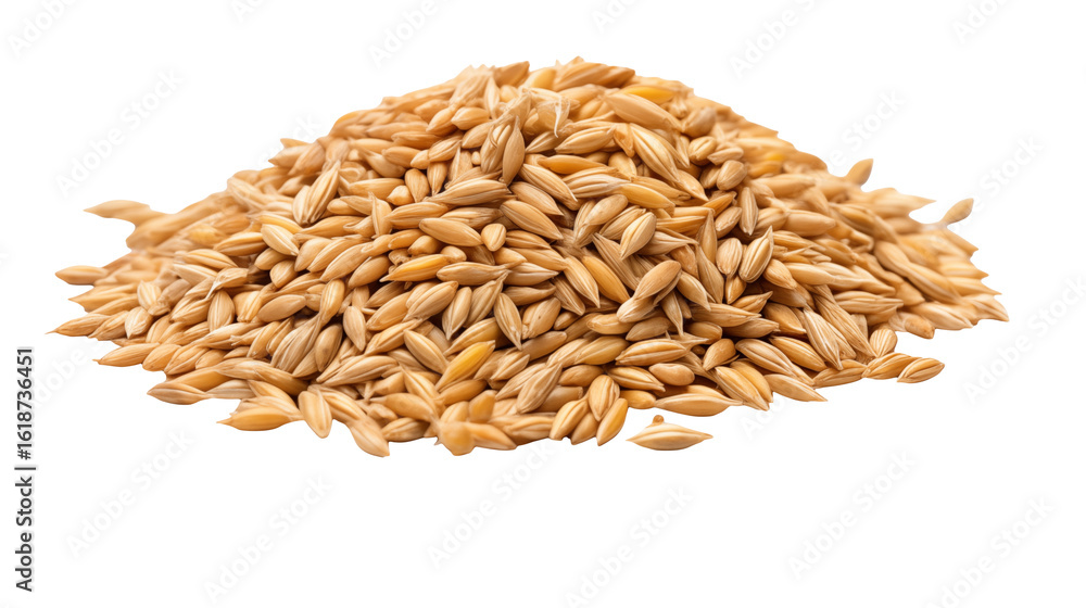 Close up studio shot of a mound of barley grains with a transparent ...