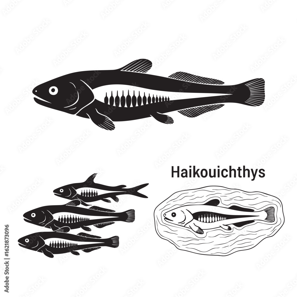Haikouichthys Silhouettes as an Early Vertebrate Fish Set Stock Vector ...