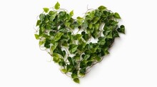 Floral Flourish Green Heart Free Stock Photo - Public Domain Pictures