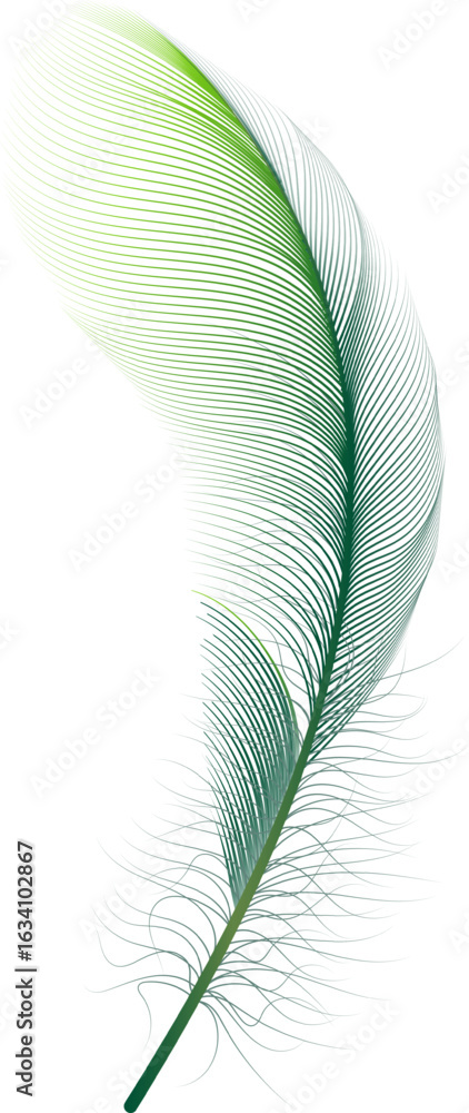 Green feather floating on a white background, with a gradient color ...