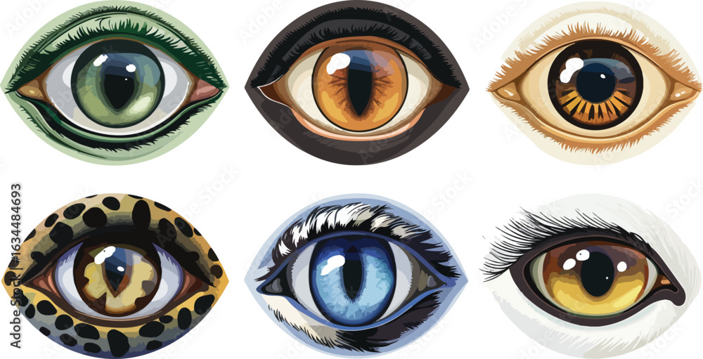 Colorful animal eye illustrations collection Stock Vector | Adobe Stock