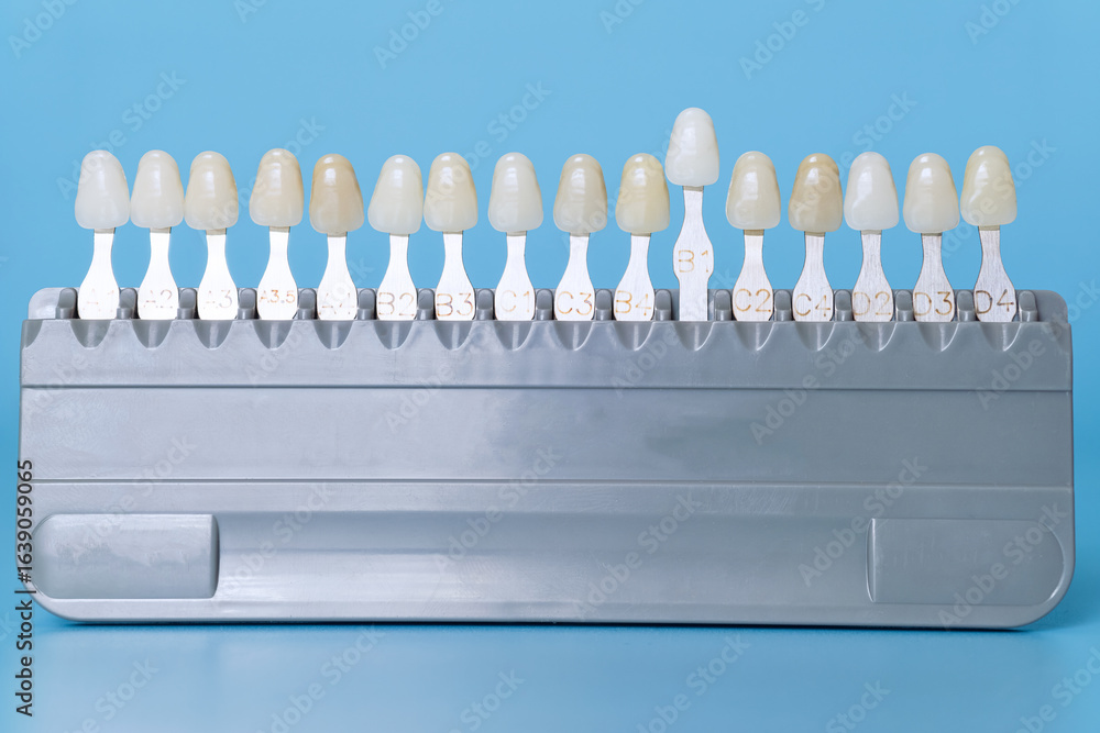 Dental shade guide for tooth color matching Stock Photo | Adobe Stock