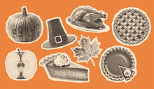 Thanksgiving Illustration Free Stock Photo - Public Domain Pictures
