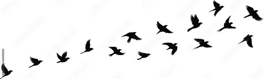 Silhouette birds flying in diagonal direction, black vector animal ...