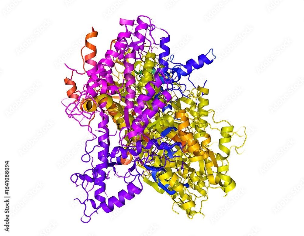 Protein structure, 3D model (1) Stock Photo | Adobe Stock