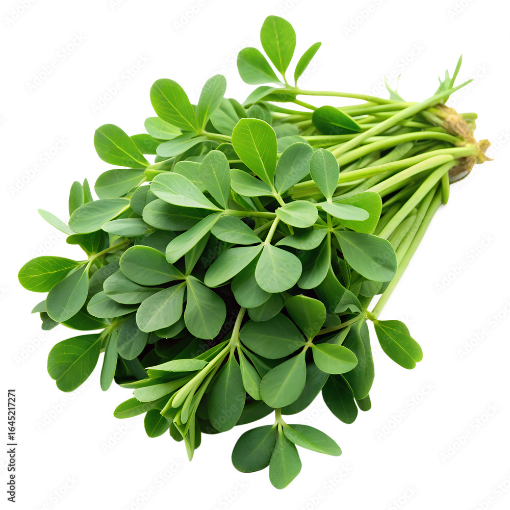 Fresh Fenugreek Microgreens Bunch Isolated on Transparent Background ...