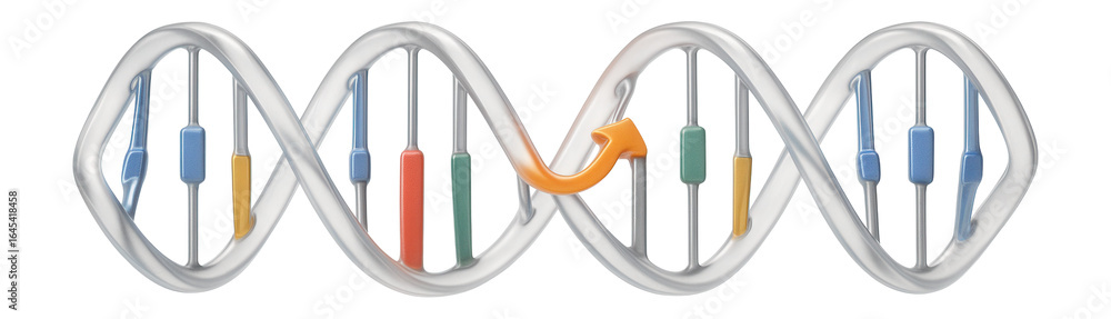 Back mutation returning a mutated sequence back to its original ...