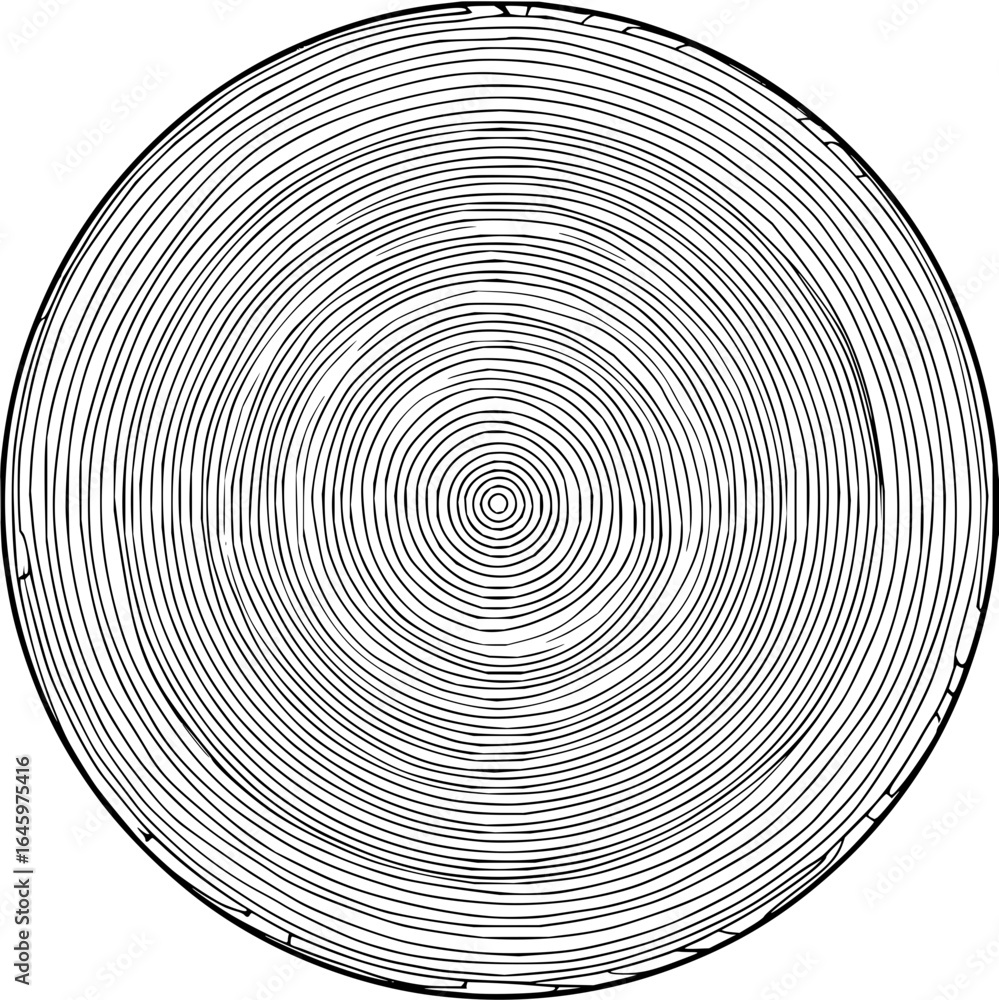 Illustration of a circular cross section of a tree trunk with visible ...