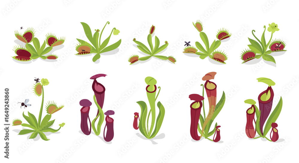 Diverse Cartoon Carnivorous Plants Vector Illustration Set, Venus ...