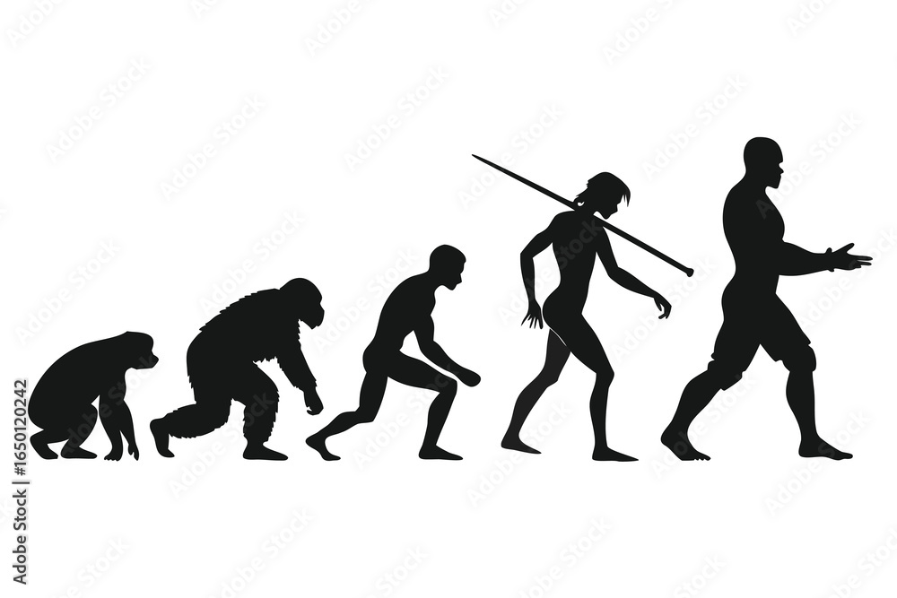 Human evolution stages from ape to modern man silhouette illustration ...