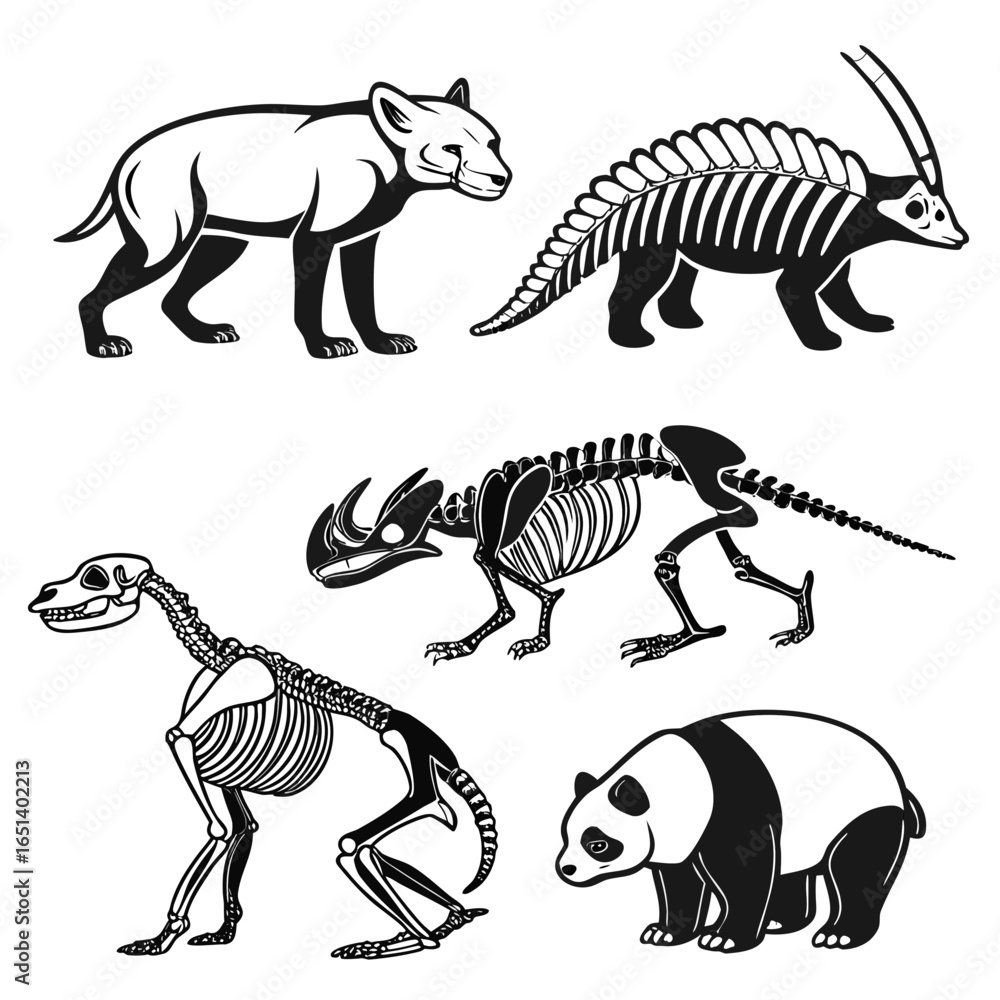 Hyena panda skeleton animal bones fossil illustration vector drawing ...