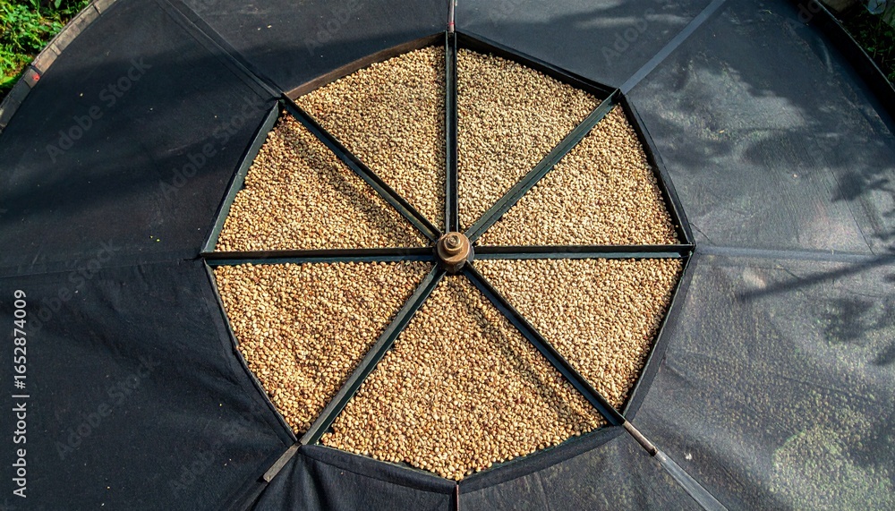 Overhead view of a circular structure filled with grain, divided into ...