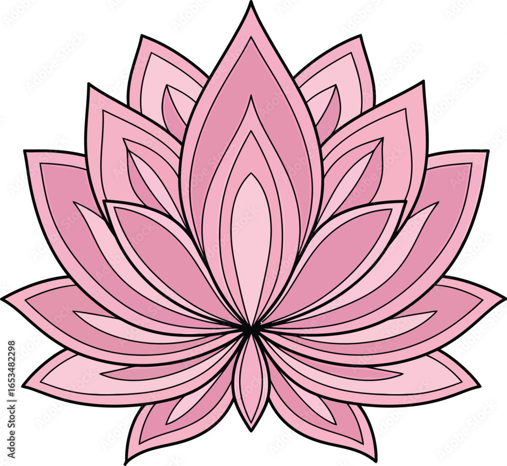 Beautiful Pink Lotus Flower Illustration - Symbol of Purity ...