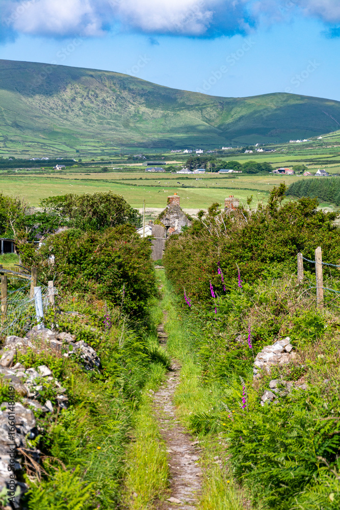 house at the end of the road among trees in ventry, dingle peninsula ...