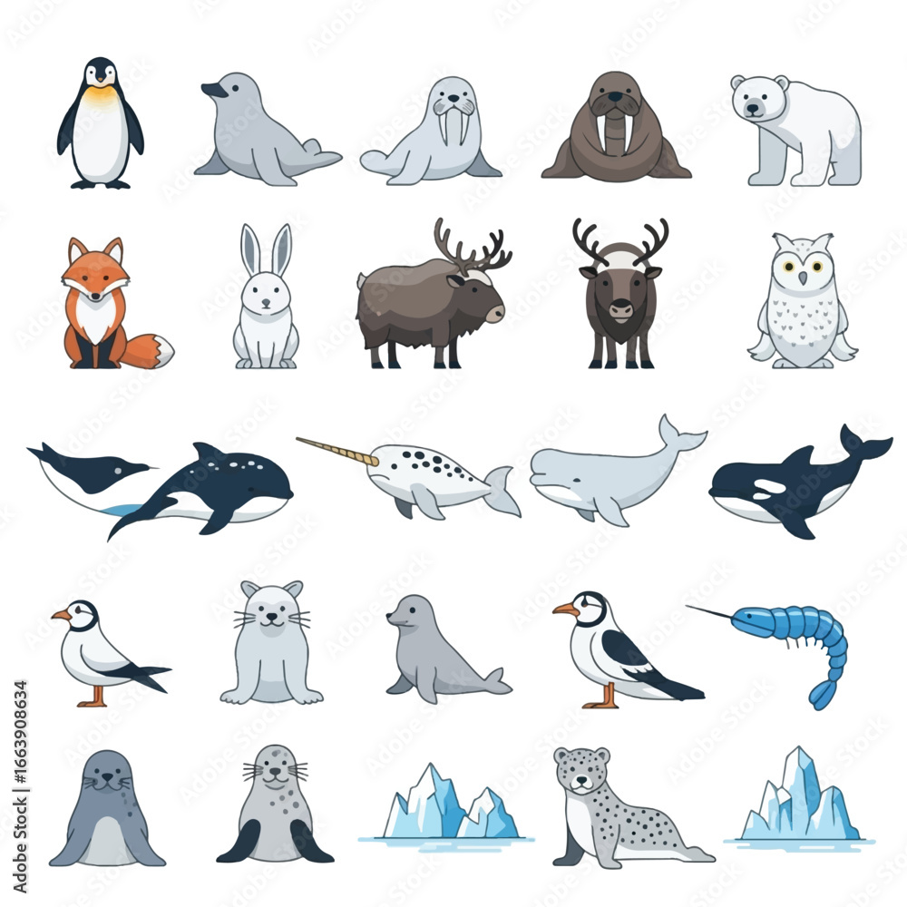 Arctic and subarctic animal illustrations: penguins, seals, polar bears ...