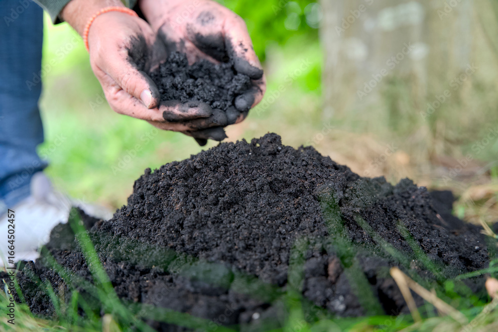 Adding biochar to soil for improving fertility and CO2 reduction. It ...