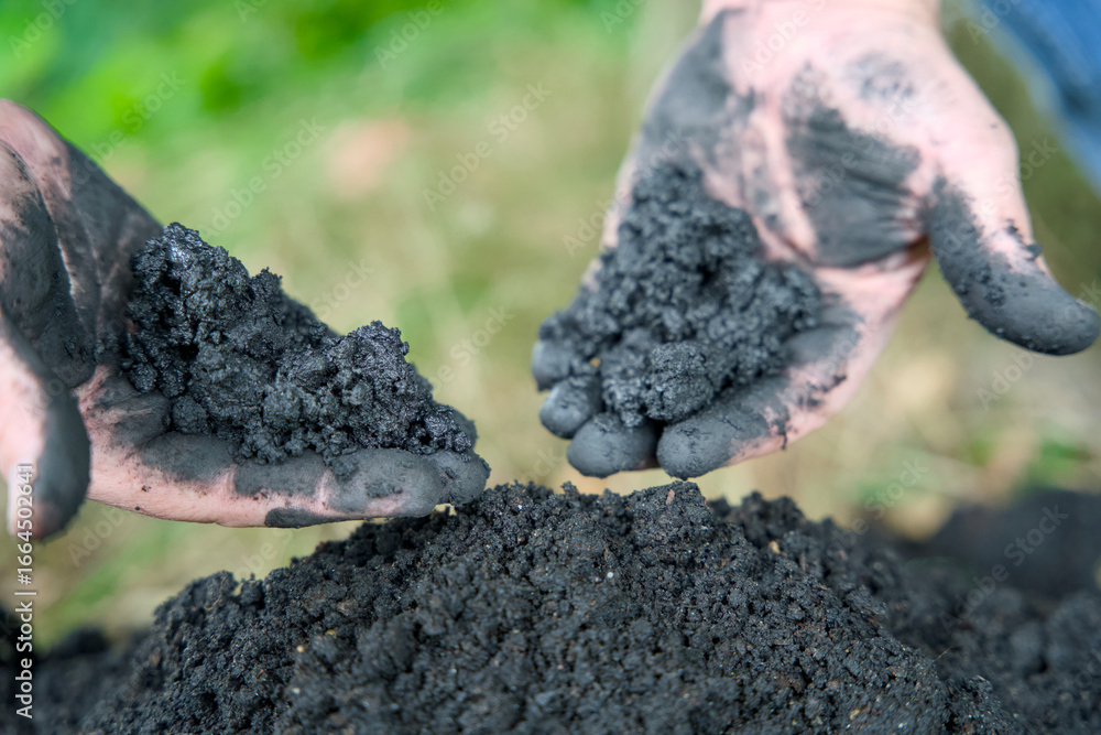 Adding biochar to soil for improving fertility and CO2 reduction. It ...