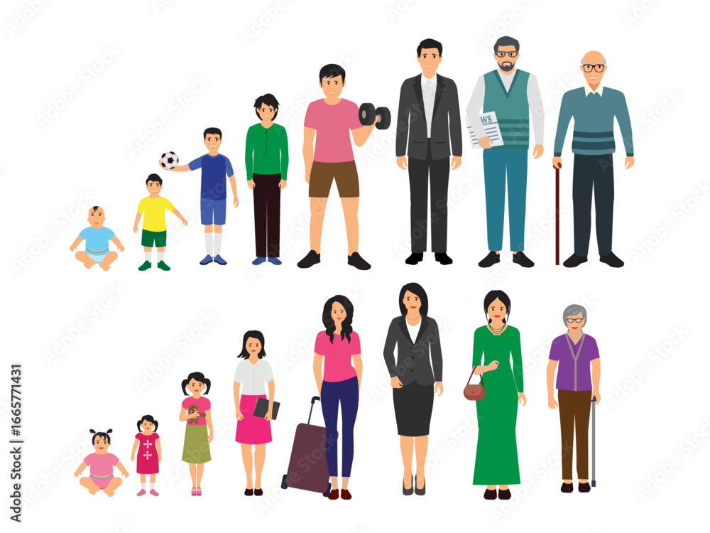 Stock-Vektorgrafik „life cycle stages illustration man woman cartoon ...